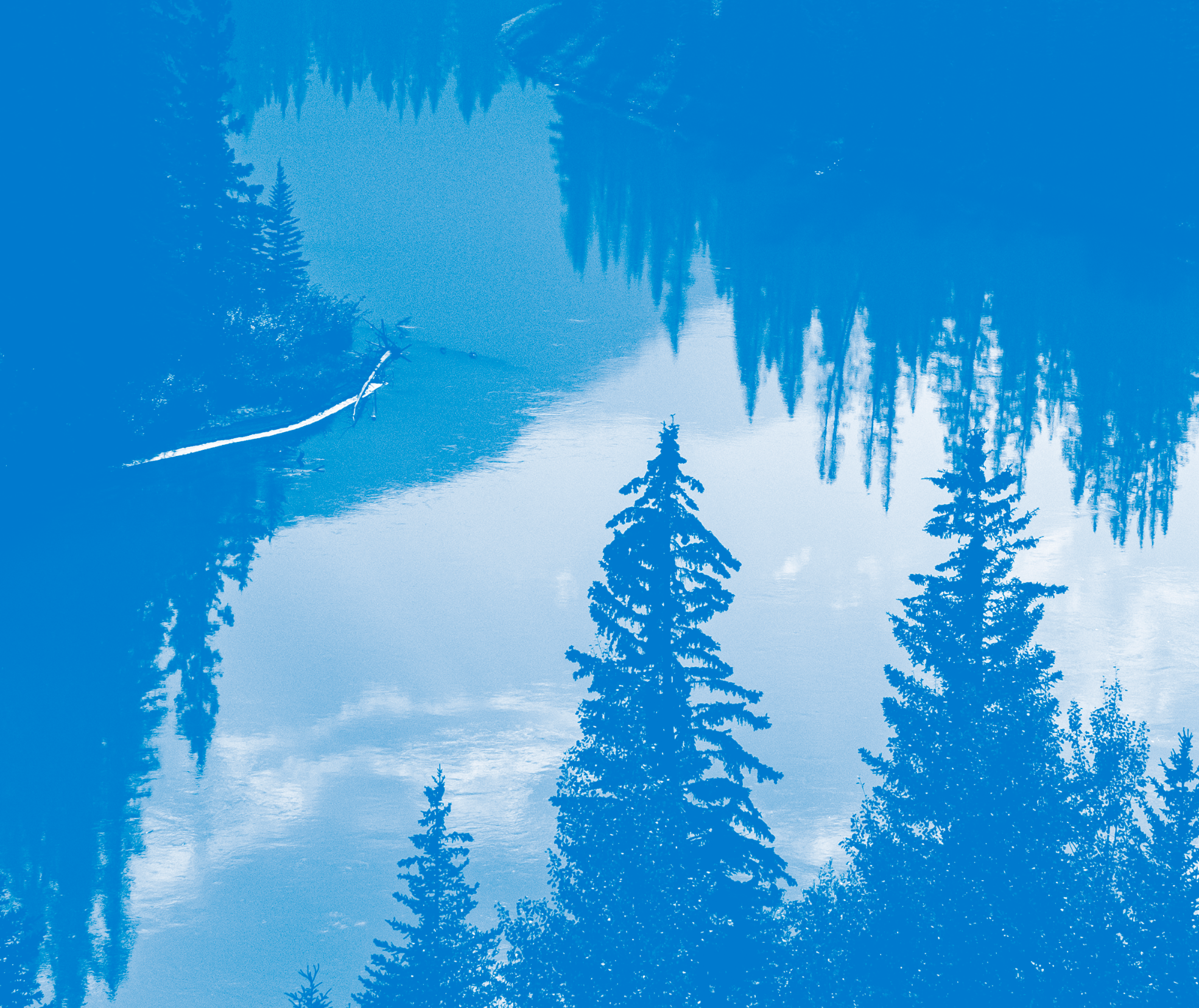 Leading With Integrity